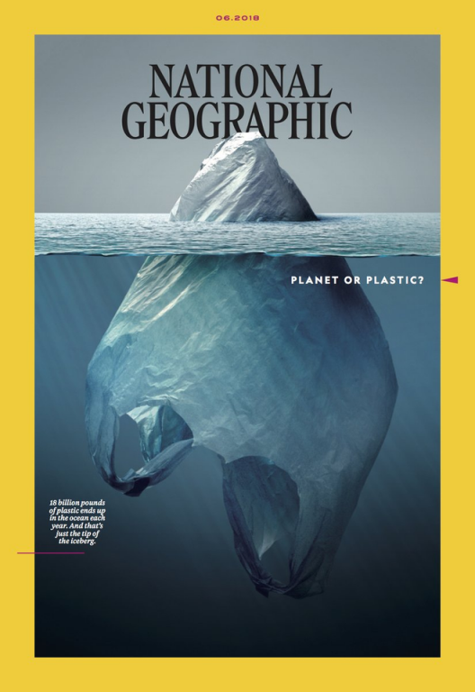 [Global Book] Subscription - National Geographic